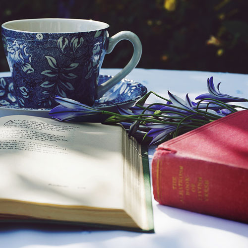 Daily Devotional » Adventist Single Adult Ministries